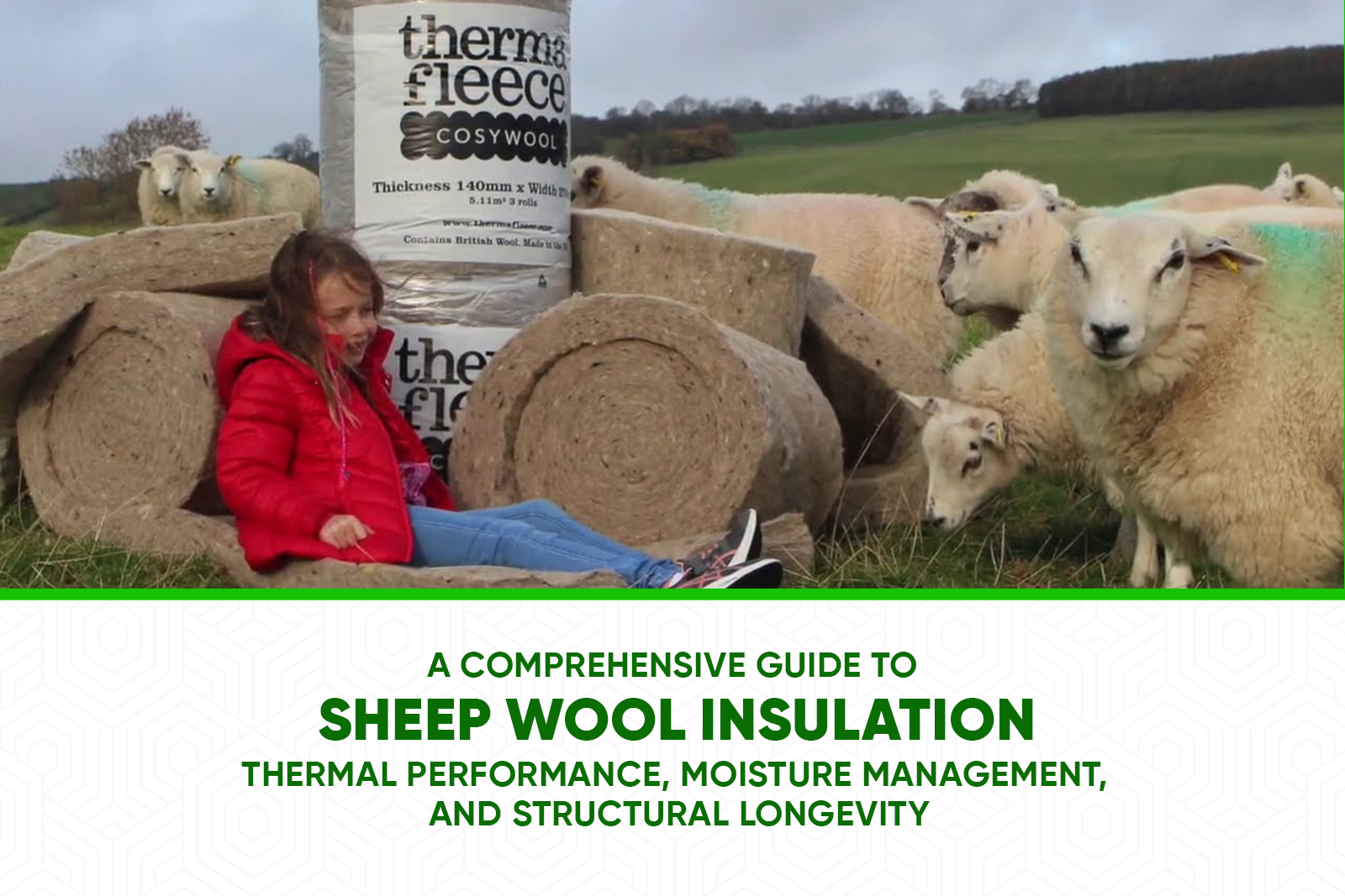 Sheep Wool Insulation: Warm, Breathable Solution for UK Homes